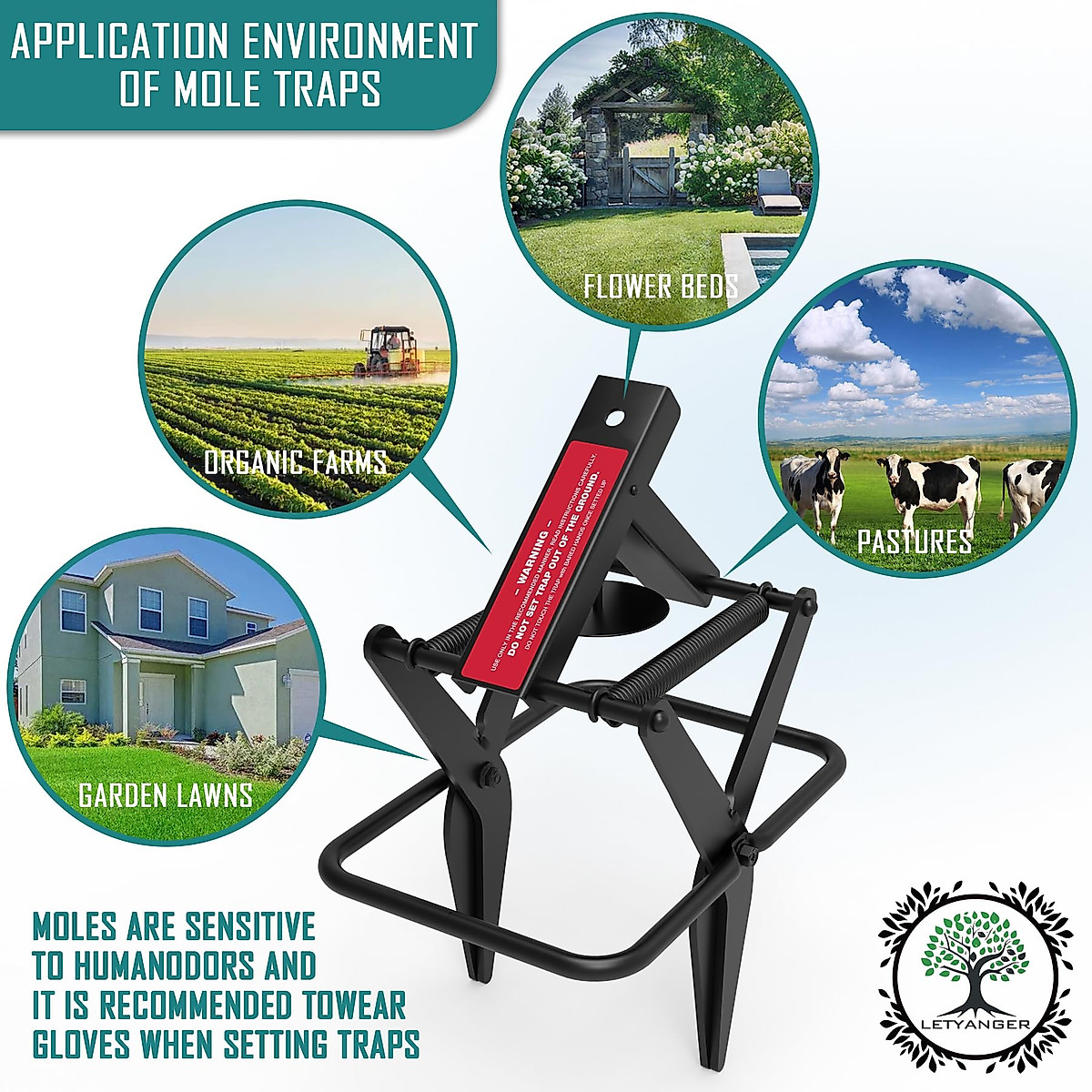 LETYANGER Mole Traps, Black Galvanized Steel Scissor Trap, Reusable Mole Gopher Traps, Mole Killer, Galvanized Steel Mole Scissor Trap, Ground Mole Trap for Lawns, 2 Pcs (Black)