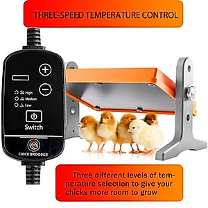 Fuzzy Bird Chick Brooder (12''*8'') Brooder Heater for Chicks Ducks and Birds Incubation Heating Keep Chicks Warm Newly Upgraded Temperature Adjustable Height Adjustable Chick Heating Plate-Orange