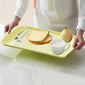 Doryh Set of 4 Color Fast Food Serving Trays