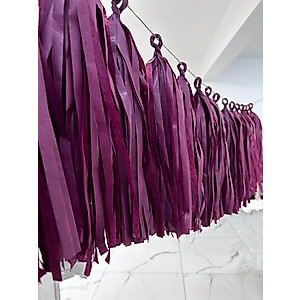 15 Pcs Burgundy Tassel Garland Wedding Party Supplies Decoration Tassel Banner for Birthday Baby Shower Bridal Shower Bachelorette Decoration