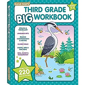 3rd Grade BIG Workbook All Subjects for Kids 8 - 9 includes 220+ Activities, Spelling, Grammar, Reading Comprehension, Writing, Math, and More