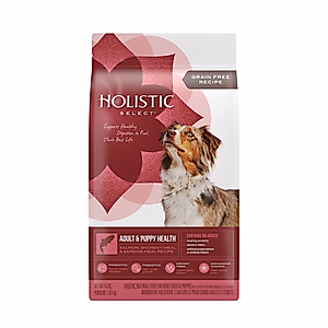 Holistic Select Natural Grain Free Dry Dog Food, Adult & Puppy Salmon, Anchovy & Sardine Recipe, 4-Pound Bag