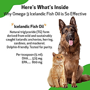 Pet Wellbeing Wild Alaskan Salmon Oil for Dogs & Cats - Daily Omega-3 Fish Oil for Healthy Skin, Coat, Mobility, Joints, Heart Health - EPA, DHA - 16 fl oz (473 ml)