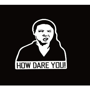 Aokannavi Greta Thunberg How Dare You Laptop Window Car Bumper Helmet Water Bottle - Sticker Graphic - Weatherproof & Long Lasting Sticker (2 Pieces)