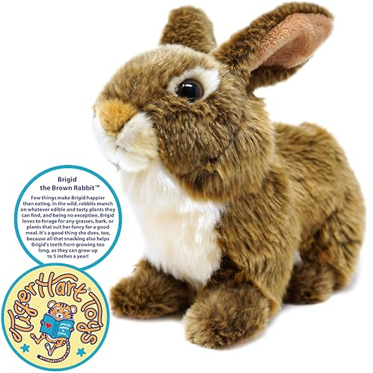 TigerHart Brigid The Brown Rabbit - 10 Inch Stuffed Animal Plush Bunny