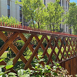 Unkno 12 Pack Plastic Bird Deterrent Spikes 16.7 Feet Fence Spikes for Cat,Birds,Bird Spikes, Squirrel Spikes，Spike Strips for Bird Cat Squirrel Pigeons（ Brown）