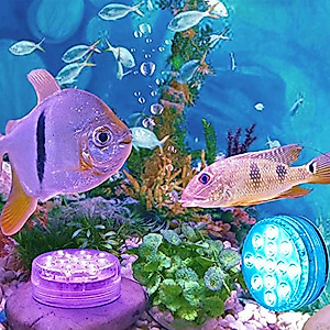 1PC Pool Lights Submersible LED Lights With Magnet And Suction Cups Remote Pool Lights IP68 Waterproof Underwater Timing With Pool Light for Pond Aquarium Fountain Bathtub Home Garden Decor (S, Clear)