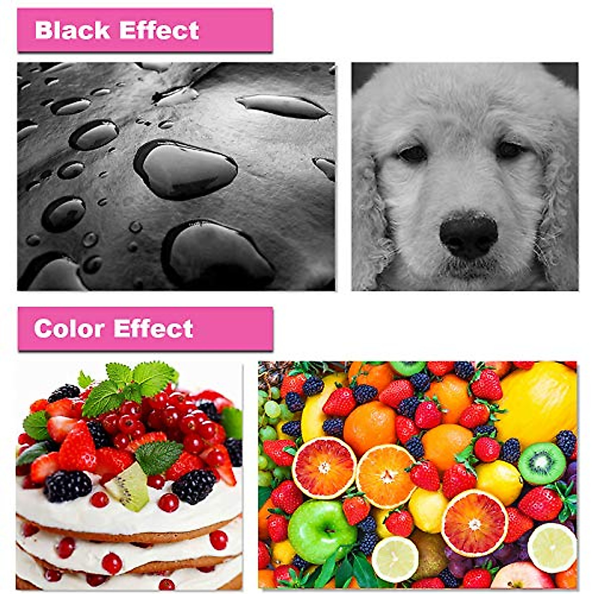 Remanufactured Ink Cartridge 304XL Replacement for HP 304 for HP304 XL 304 Ink Cartridges for HP Deskjet 2620 2630 2632 3720 3721 3723 3724 3730 for HP Envy 5010 5020 5030 5032 5034 5052 5055