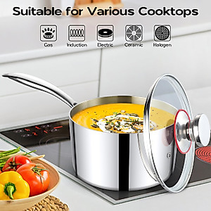 Onader 3QT Sauce Pan with Lid Triply Stainless Steel Saucepan Cooking Pot