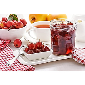 Dolgo Crabapple Tree Live Plant, Crabapple Plant Live Dormant 20 to 30 Inc Tall, No Ship to CA, HI to Grow Pots