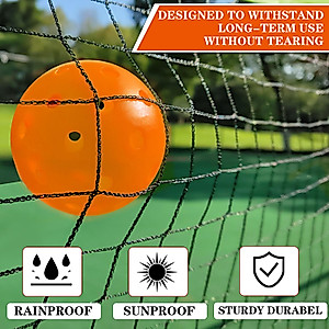 Zdgao Portable Pickleball Net Set with Paddles Set of 4, 22FT Official Size Pickleball Net, 4 Outdoor Pickleballs and Carry Bag, Weather Resistance Strong Steel Frame