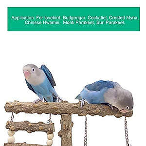 Bird Perch Stand, Parrot Play Stand Rack, Wooden Ecofriendly Biteresistant for Budgerigar Lovebird