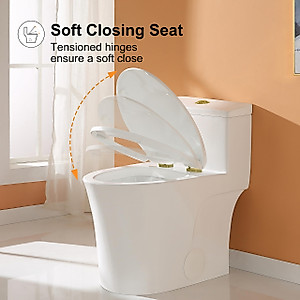HOROW T0338WG One Piece Toilet with Gold Button, Elongated Toilet with Comfort Seat Height, ADA Chair Height 17.3", Dual Flush 0.8/1.28 GPF & MAP 1000g, Standard White Toilet Bowl, Gold Tank Button