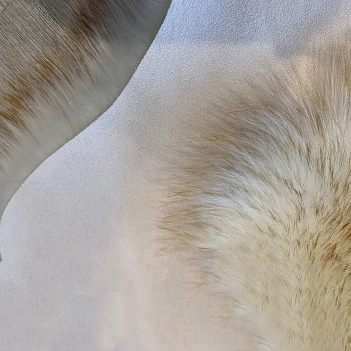 Luxury Faux Sheepskin Fur Rug | Fluffy Area Rug, Shag Rug for Bedroom, Living, Kids Room | Soft Fuzzy Rug, Non-Slip Home Décor Accent, Oval (3'x5', White/Brown Tips)