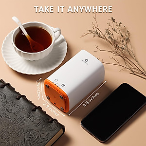 Airthereal PA300-GO Portable Ozone Generator - Cordless Battery Powered Odor Eliminator for Refrigerator, Car, Travelling, Shoe Cabinet, and Other Small Spaces, White 1-Pack