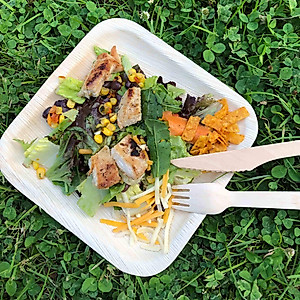 Ecodeco Palm Leaf Compostable Plates - 50 pcs - Square - Disposable Eco Friendly Like Bamboo Party Plates with Cutlery - 8 Inch