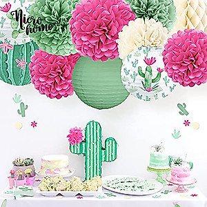NICROHOME Baby Shower Decorations, 12PCS Green Cactus Hanging Tissue Pom Poms Paper Lanterns Confetti 50G for Rustic Wedding Decor Baby Shower Engagement Birthday