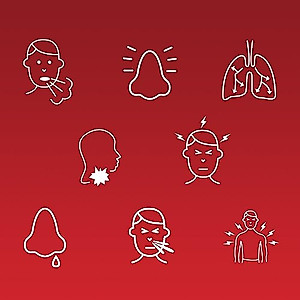 Mucinex Maximum Strength Sinus-Max Severe Congestion & Pain & Nightshift Sinus Liquid, 6 Fl Oz (Pack of 2)