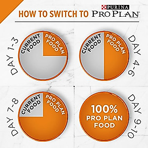 Purina Pro Plan With Probiotics, High Protein Dry Kitten Food, Shredded Blend Chicken & Rice Formula - 3 lb. Bag