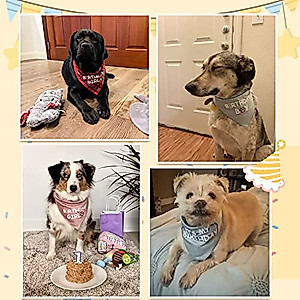 Waghaw Dog Birthday Party Supplies, Dog Birthday Bandana Girl Boy Scarf and Dog Birthday Hat for Small Medium Large Dogs Pets (Blue one, Small (Pack of 1))