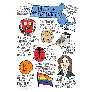Allport Editions Massachusetts State Facts Kitchen Towel - 100% Cotton Kitchen Dish Towel