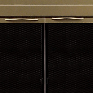 Pleasant Hearth Ashlynn Collection Fireplace Glass Door