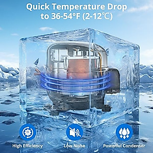 Acekool 4.2 Cu.Ft Commercial Countertop Refrigerator - Display Case w/Led Lighting, Auto Defrost, Air-Cooling, Rear Sliding Door for Cafe Restaurant, Countertop/Floor Refrigerator