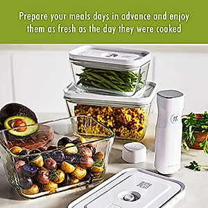 ZWILLING Fresh & Save 2-pc Large Glass Airtight Food Storage Container, Meal Prep Container