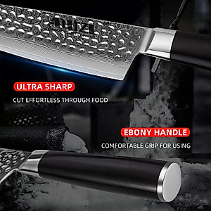 AMSZL Damascus Chef Knife 8-inch Japanese VG10 Stainless Steel Sharp Professional Kitchen knife, Hammered Forged, Ergonomic Ebony Handle, with GiftBox