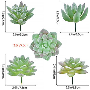 EaSinESS 11 Pcs Artificial Succulent Plants Unpotted Assorted Faux Succulent Fake Succulent Picks for Floral Arrangement Home Decoration