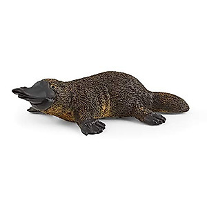 Schleich Wild Life Realistic Australian Animal Toy Set - 5-Piece Outback Animals Playset with Crocodile, Kangaroo, Koala, Platypus, and Wombat, Farm Zoo Play for Boys and Girls, Gift for Kids Age 3+