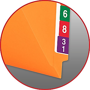Smead End Tab File Folder, Shelf-Master Reinforced Straight-Cut Tab, Letter Size, Orange, 100 per Box (25510)
