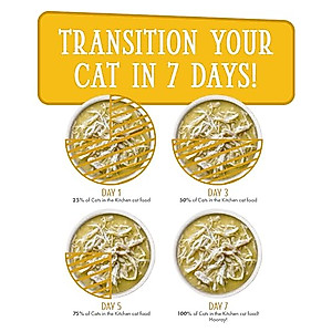 Weruva Cats in The Kitchen, Pumpkin Lickin' Chicken with Chicken Breast in Pumpkin Soup Cat Food, 3oz Pouch (Pack of 12)