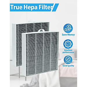 BBT BAMBOOST 5400 ComboFilter Compatible with Blueair DustMagnet 5400 Series, 5410i, 5440i Air Purifier, 2-in-1 HEPA Dustmagnet 5400 ComboFilter, 2 Pack