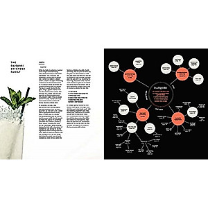 Cocktail Codex: Fundamentals, Formulas, Evolutions [A Cocktail Recipe Book]