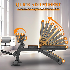 Z ZHICHI Adjustable Weight Bench multi-function Workout Bench for Home Gym,Foldable Incline Decline Benches for Full Body Workout 660LBS