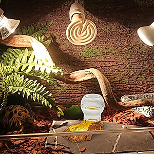 MINYULUA Reptile Water Feeder Automatic Water Dispenser Turtle Feeders Waterer for Turtle Frog Feeding Water Bowl Food Bowl Pet Supplies