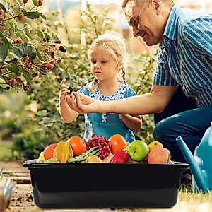 Qskely 4-Pack Plastic Commercial Bus Box, 32 L Black Large Bus Tub