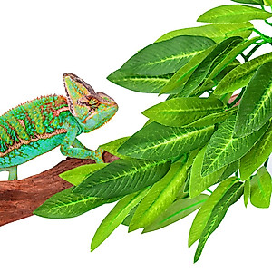 KATUMO Reptile Plants, 3 PCS Amphibian Hanging Plants with Suction Cup for Lizards, Geckos, Bearded Dragons, Snake, Hermit Crab Tank Pets Habitat Decorations