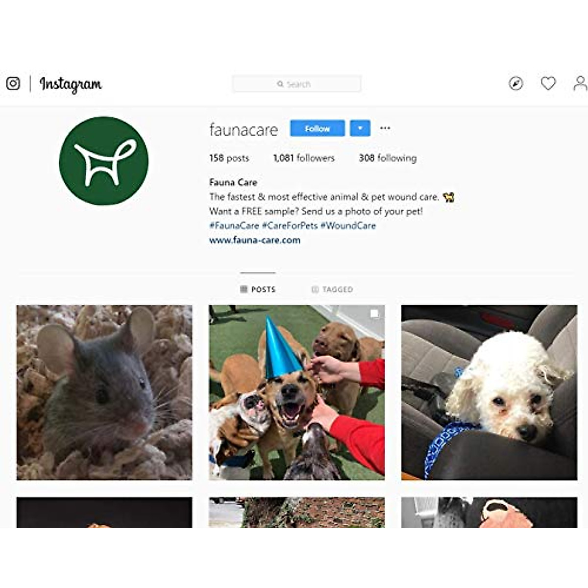 Fauna Care Equine Protect & Condition Spray 4.5 oz to Heal & Soothe Wounds, Cuts, Scrapes, Scratches, Post-Op; Prevent Infection, Irritation, Pain; Veterinarian Recommended Wound Care