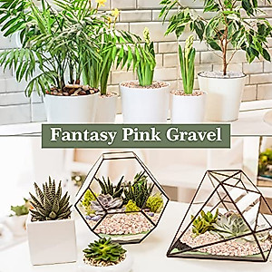 Future Way 5lbs Pea Gravel for Plants, Fish Tank, Aquarium, Terrarium, Succulent, 3/8 Inch Small Pebbles for Indoor and Outdoor Decor