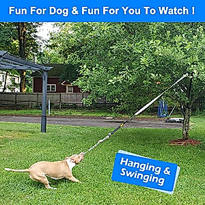 LOOBANI Outdoor Bungee Tug Toy, Dog Toy Hanging from Tree for Small to Large Dogs, Interactive Exercise Play Rope Cord & Tether Tug, Durable Spring Pole Rope for Tug of War, with Chew Rope Toy (Black)