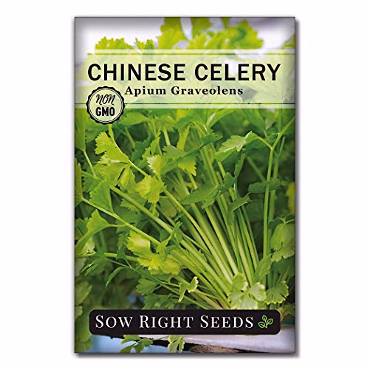Sow Right Seeds - Chinese Celery Seeds for Planting - Non-GMO Heirloom Packet with Instructions to Plant and Grow a Home Vegetable Garden - Culinary and Compact Herb, Abundant Stalks (1)