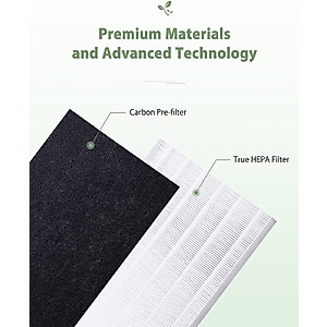 Future Way Air Filter Replacement