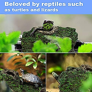 AQQA Aquarium Trunk Decoration,Resin Hideout Caves Hollow Tree Log Trunk Ornament，Driftwood for Betta Fish Reptiles Turtles (L)