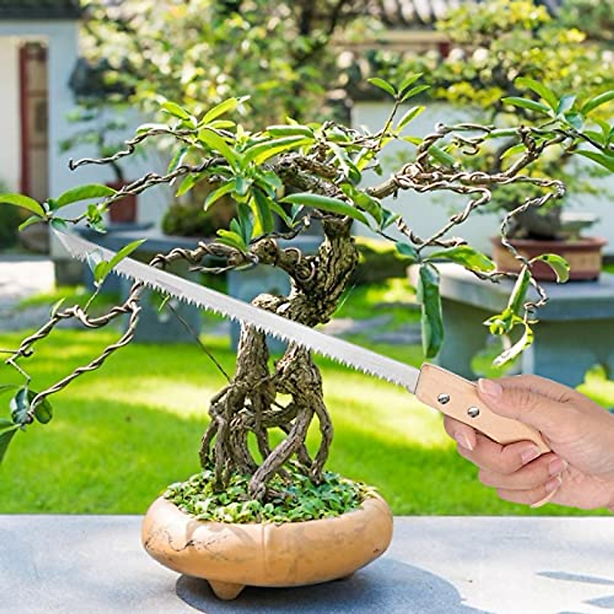 Hand-Held Pruning Saw, Bonsai Saw and Tree Trimmer, Narrow Blade Bonsai Saw, Fast Cutting Hand Tool for Ikebana Bonsai Lawn Garden