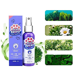 Cat & Dog Breath Freshener Spray, Pets Mouthwash for Dogs & Cats Teeth Cleaning, Breath Freshener Spray Bad Breath Treatment for Dogs & Cats Oral Care (1 Pack)