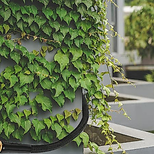 Boersite Garden Hose Extension Flexible Hose Adapter Short Connector Hose with Integrated Spiral Tube for Hose Reel/RV/Dehumidifier (3FT)