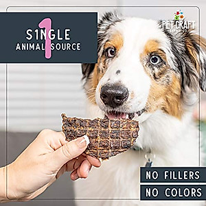 Pet Craft Supply Wild Caught Pure Dehydrated Pacific Salmon Blueberry Cranberry Superfood Healthy High in Antioxidants Vitamins Fish Oil for Small Medium Large Dog Puppy Training Treats