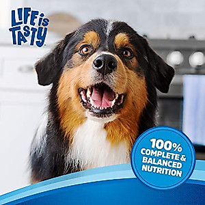 Kibbles 'n Bits Original Savory Beef & Chicken Flavor Dry Dog Food, 31-Pound